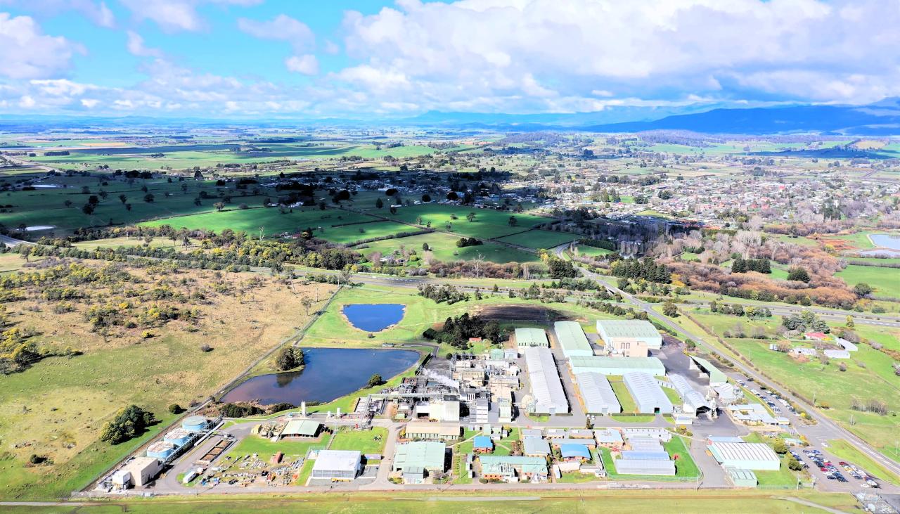 Poppy industry celebrates 50 years | Tasmanian Country Newspaper